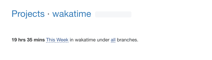 How Many Hours Have You Spent On A Project WakaTime
